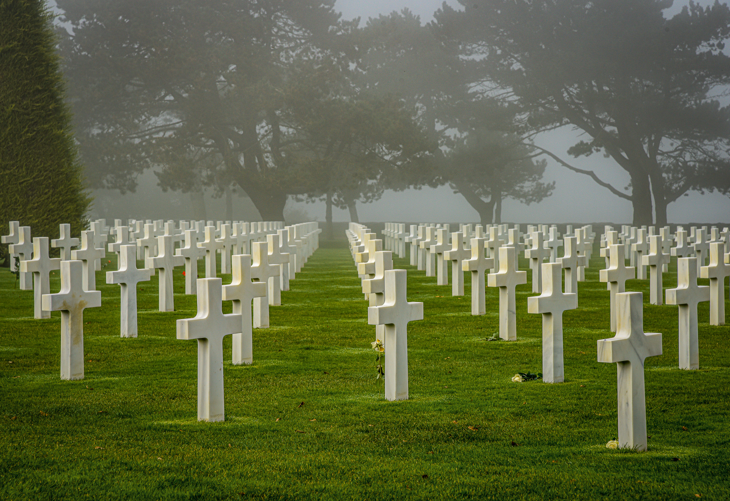 Indelible Memorials | Insight - Daum Photography